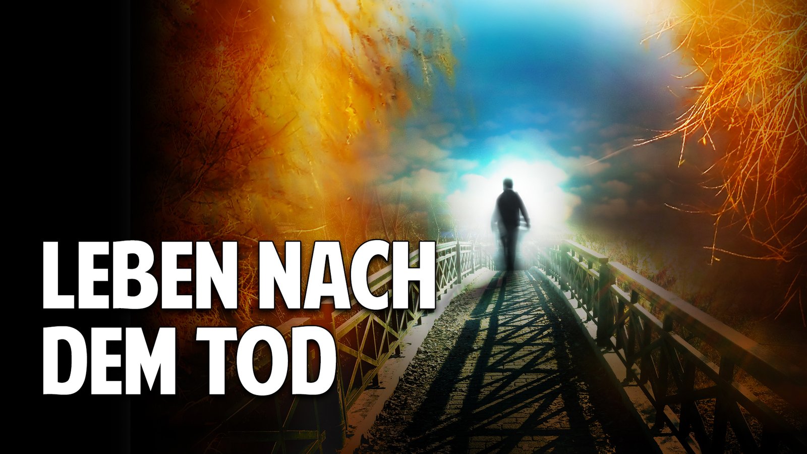 Welt im Wandel TV » Leben nach dem Tod: Der Weg zu einem neuen ...
